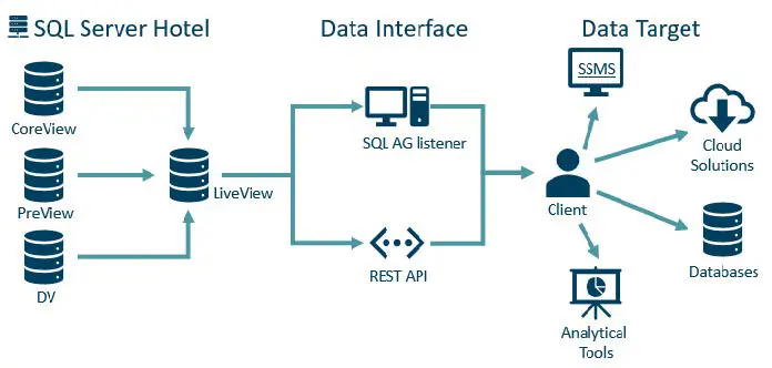 LiveView IL: Interface to reporting & analytics for better decisions