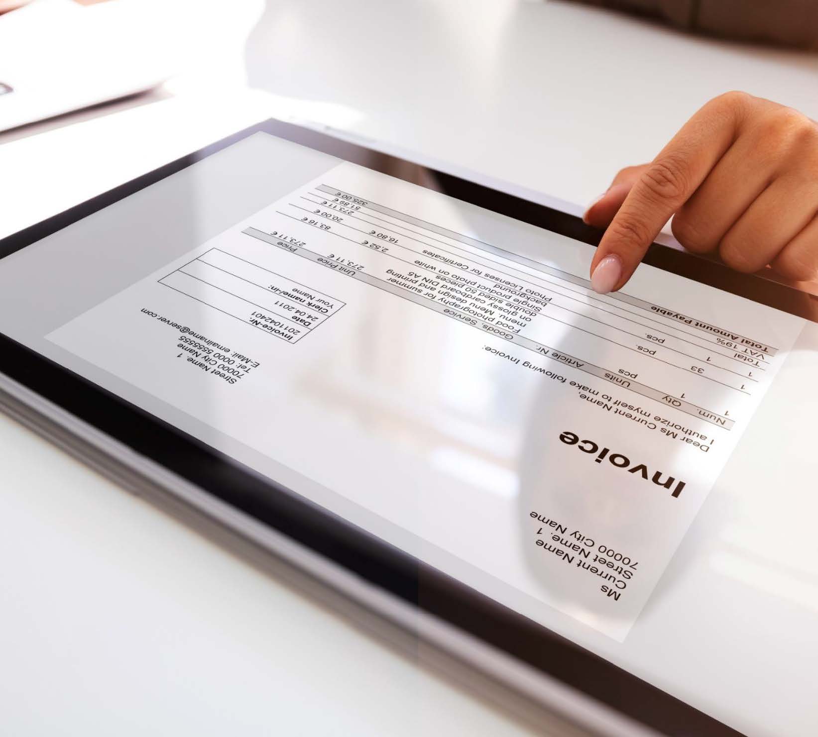 Ledger, invoice services, finance and factoring software